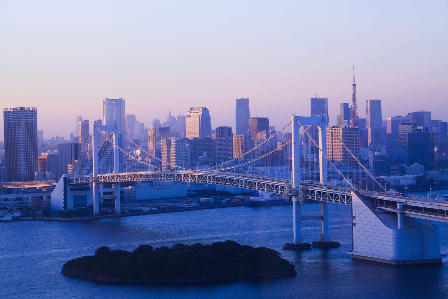 東京湾にサンゴが増えている！温暖化・海水温上昇で変わる海の景色 | LIMEX LABO